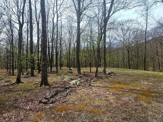 Goldenseal Rd Lot 46, Maysville, WV 26833