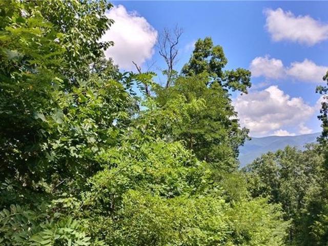 Goldmine Dr, Ellijay, GA 30536