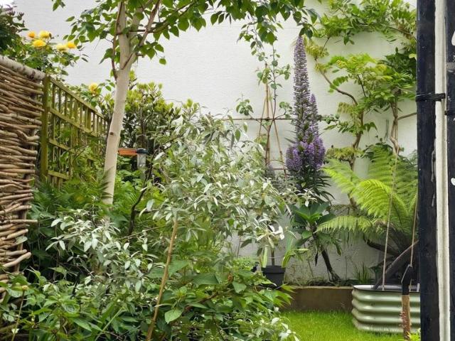 Goldstone Villas, Hove 1 bed flat to rent £1,675 pcm £387 pw