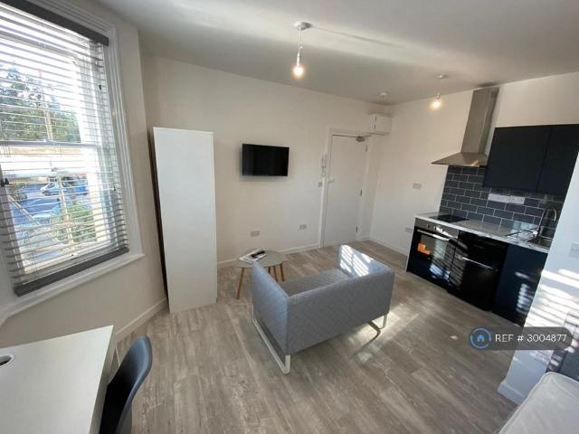 Goldstone Villas, Hove, BN3 Studio to rent £1,000 pcm £231 pw