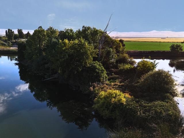 Goldrift Island, Byron CA 94514