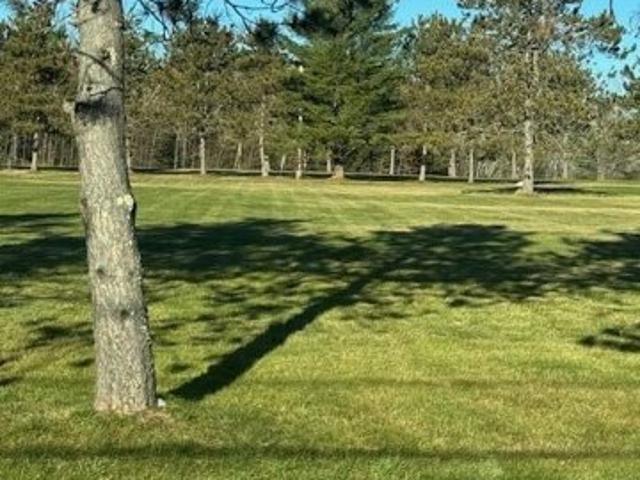 Golf Course Rd Lot,newport, Plot For Sale