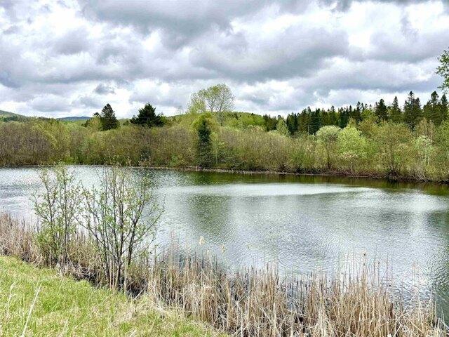 Golf Links Rd, Colebrook, Plot For Sale