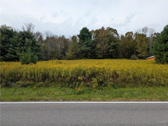 Gorton Rd, Hamilton, NY 13346