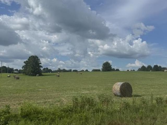 Gordon Rd, Dyersburg, TN 38024