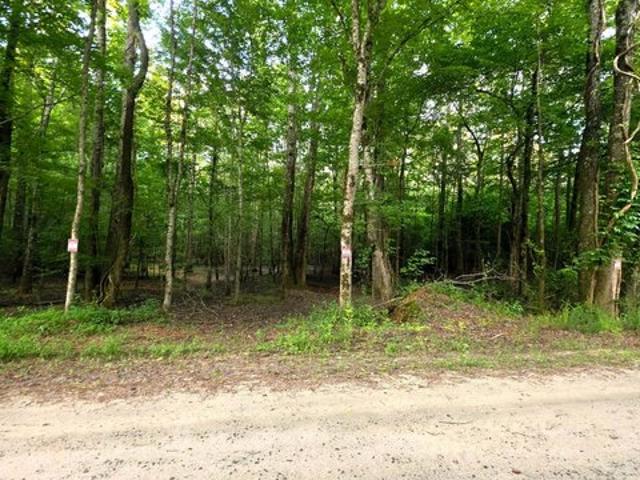 Gordon Rd Lot 22, Forsyth, GA 31029