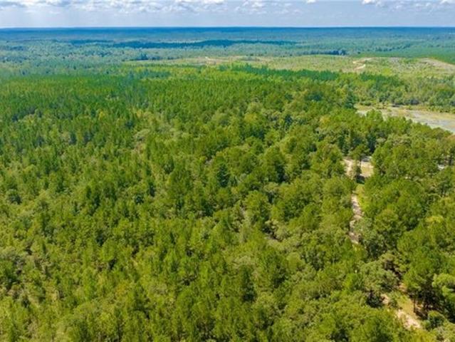 Gordy Rd, Tibbie, AL 36583