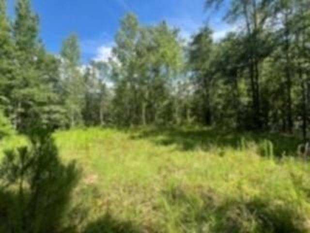 Gordy Rd, Tibbie, Plot For Sale