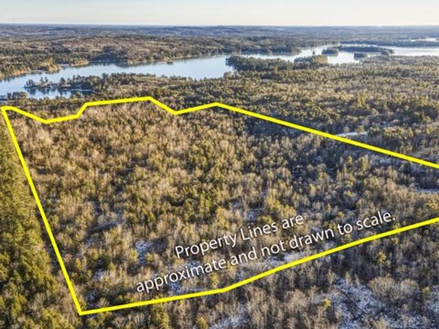 Gore Rd, Gray, ME 04039