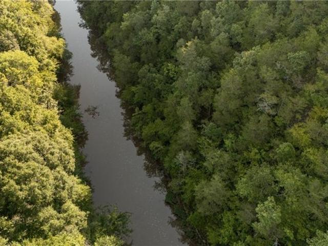 Gorgas Rd, Berry, AL 35546