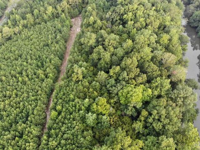 Gorgas Rd Lot 0, Northport, AL 35475