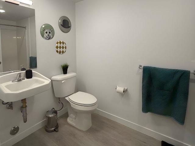 Gorgeous 1 bed/1 bath and Studio units ~ LA City Section 8 Voucher Accepted! 1 Bedroom Apartment for Rent at 10705 Avalon Blvd, Los Angeles, CA 90061 Congress Southeast