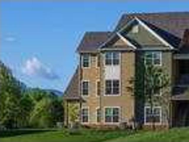 Gorgeous 1 Bed 1 Bath