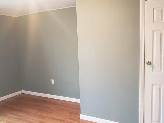 Gorgeous and spacious apartment. 1 BRs and 1 full