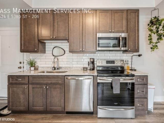 Gorgeous Brand New 1 Bed Rehab in Hyde Park In Unit Laundry & Elevator in Bldg