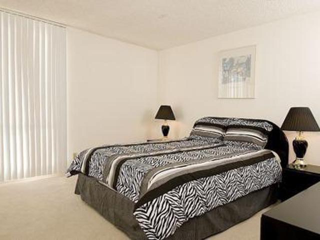 Gorgeous Modern Furnished One Bedroom Apartment