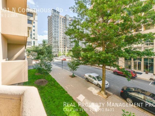 Gorgeous Rosslyn Condo with Tree Height Views!