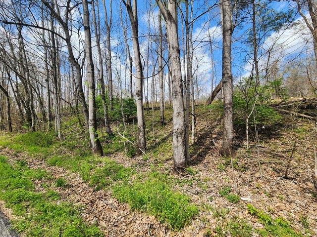 Gossett Rd, Ashland City, TN 37015