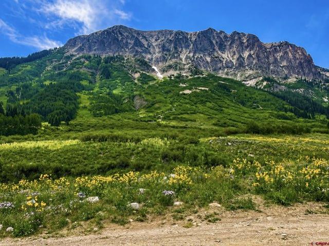Gothic, Crested Butte, CO 81224