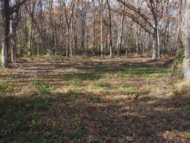 Gould Ave, Bridgeton, Plot For Sale