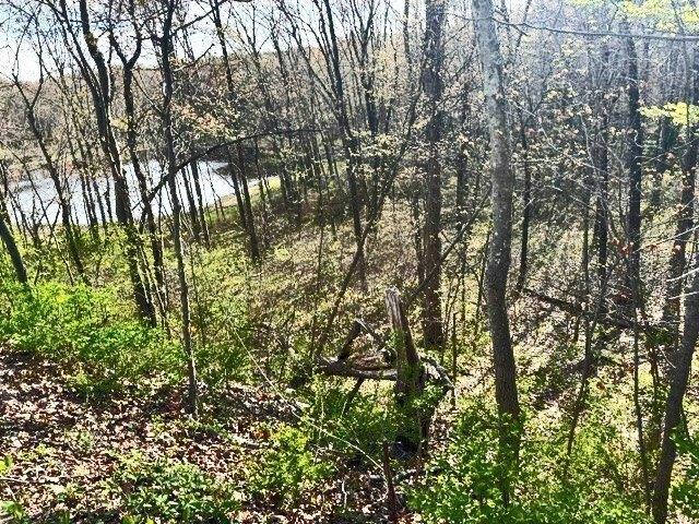 Gould Rd Lot,charlton, Plot For Sale