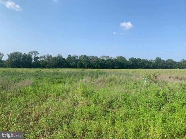 Gouldtown Woodruff Rd, Bridgeton, Plot For Sale
