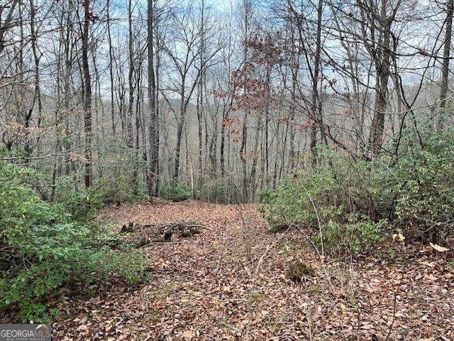 Gove, Sautee Nacoochee, GA 30571