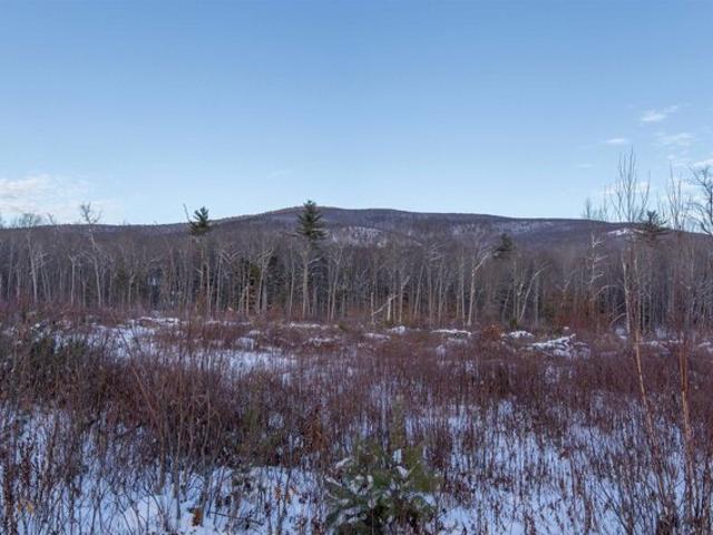 Governor Wentworth Hwy, Moultonborough, Plot For Sale