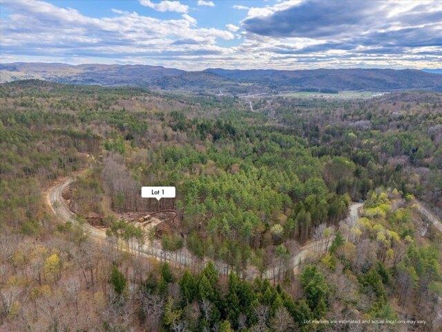 Governor Peck Rd Lot,jericho, Plot For Sale