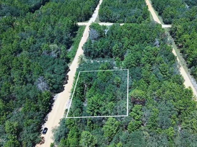 Gloria Ave, Interlachen, FL 32148
