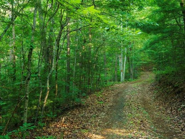 Gloryland Way, Murphy, NC 28906