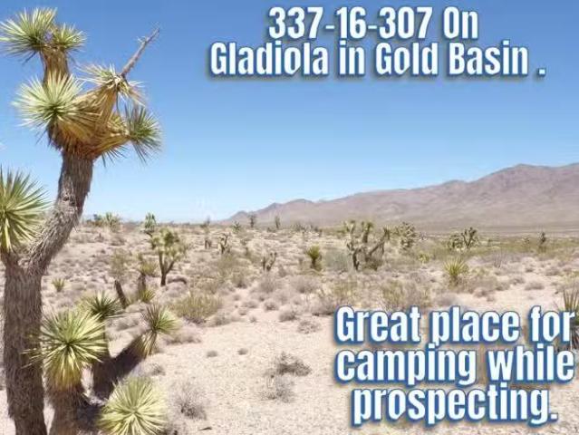 Gladiola Rd, Meadview, AZ 86444 MLS 039619