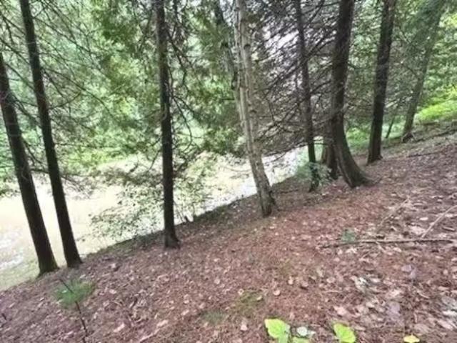 Gladwin, Beautiful, wooded, waterfront lot on private drive