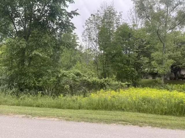 Gladwin, Imagine a spacious vacant lot nestled just across