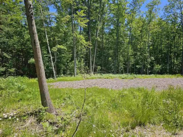 Gladwin, Vacant lot near Secord Lake. Great location for a
