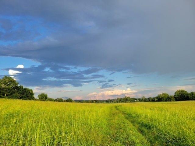 Glasgow Branch Rd, Hartsville, TN 37074