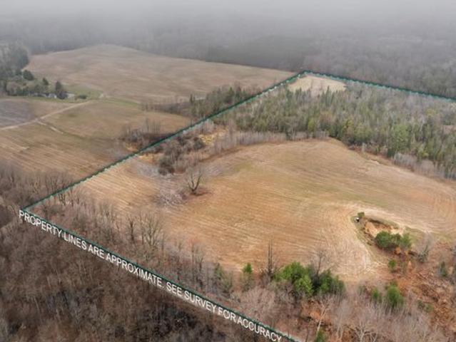 Gleaner Hall Rd, Kingsley, MI 49649