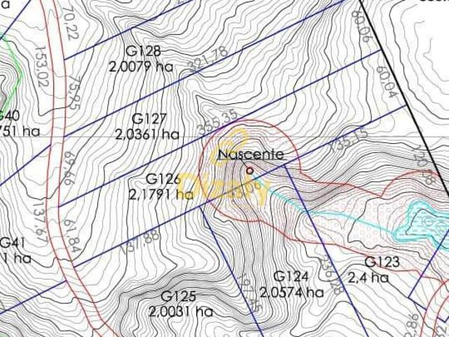 GLEBA A VENDA DE 20.000M NO MIRANTES FAZENDAS SETE LAGOAS MG