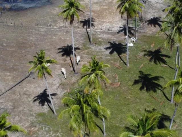 Glebaa beira mar de 2,5 a 7,5 hectares a venda próximo a São Miguel do Gostoso