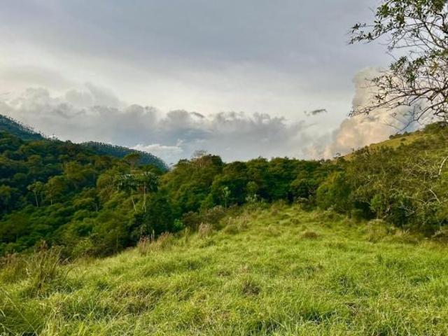 Glebas de 20.000 em Sao Francisco Xavier