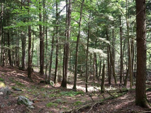 Glen Athol Rd, Thurman, NY 12885