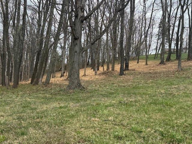 Glen Dale Heights Rd, Glen Dale, WV 26038