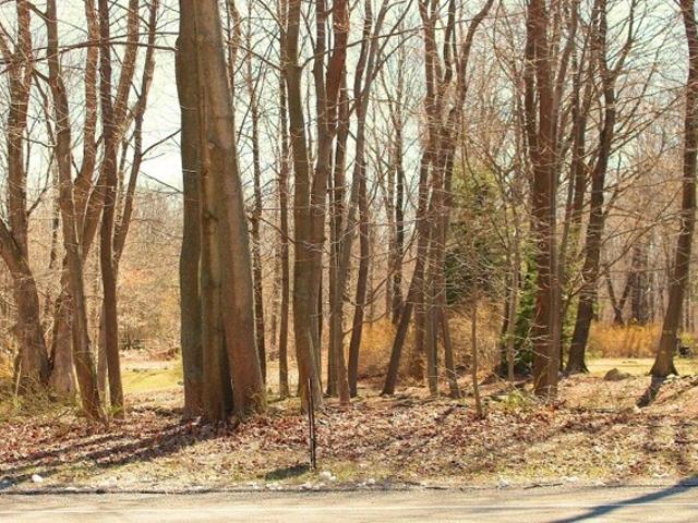 Glen Rd, Sparta, Plot For Sale