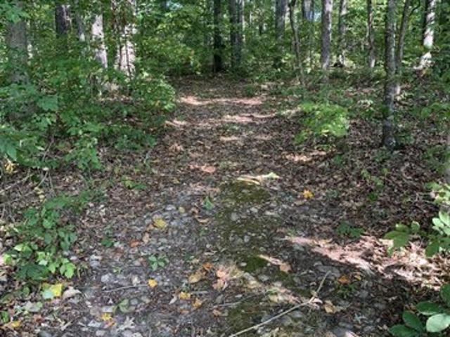 Glendale Rd, Bybee, TN 37713