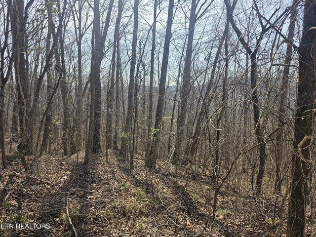 Glenoby Rd, Jamestown, TN 38556