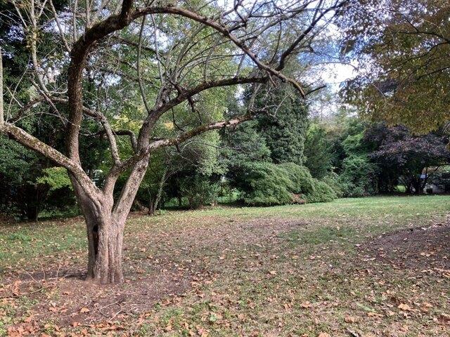 Glenoe Rd, Brookline, Plot For Sale
