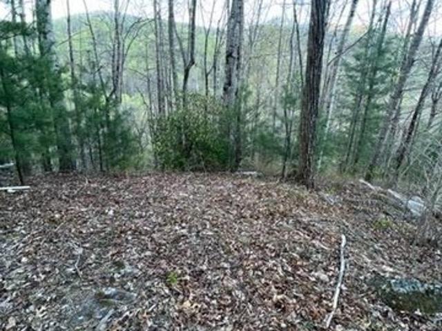 Glennview Ln Lot 1, Franklin, NC 28734