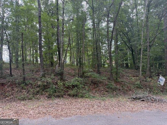 Glenwood Rd, Thomaston, GA 30286