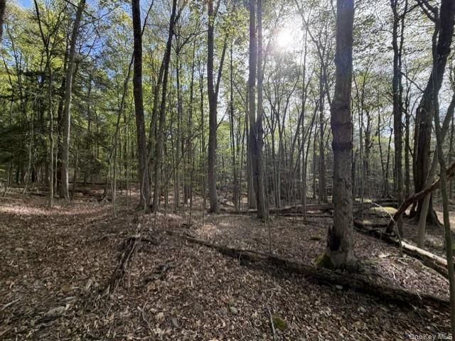 Glenwild Drive