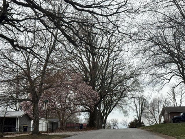 Glenview St